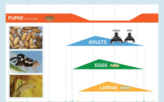 Oroville man survives Coast Guard helicopter crash | Okanogan Valley ...